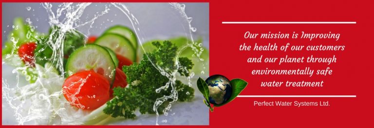 Perfect Water Systems